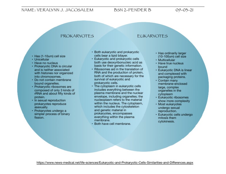 Prokaryotische En Eukaryotische Cellen Venn Diagram