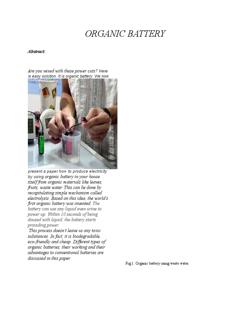 Bio Batteries | PDF | Rechargeable Battery | Electrolyte