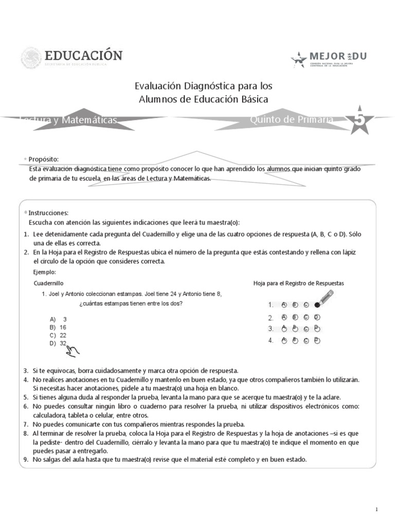 Prueba 5to Grado de Primaria | PDF