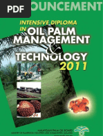 Mpob Grading Manual NEW2 | PDF