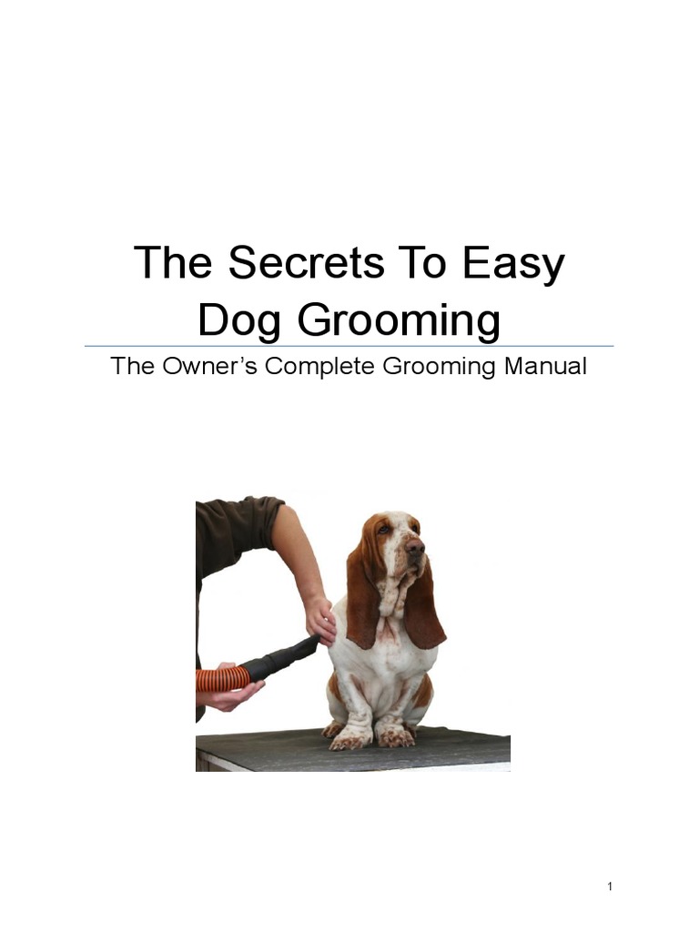 Grooming Ebook | PDF