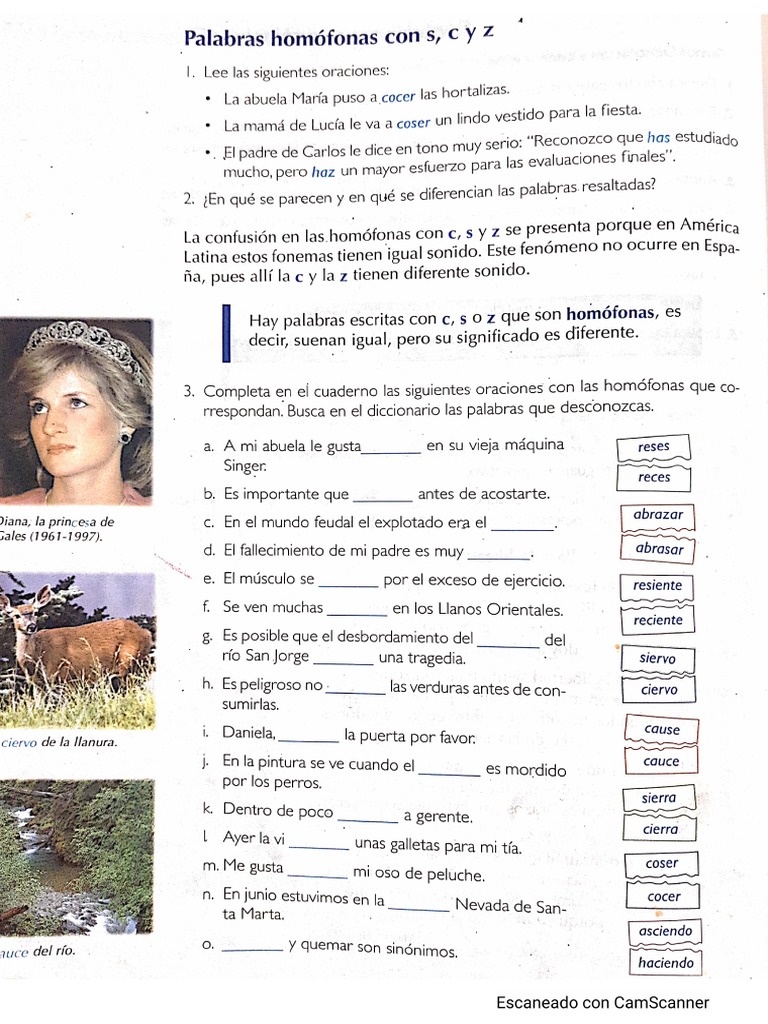Palabras Homófonas Con S, C y Z | PDF