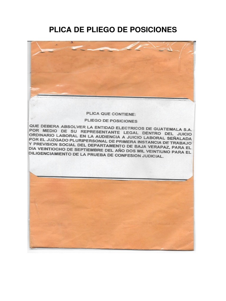 Plica y Pliego | PDF