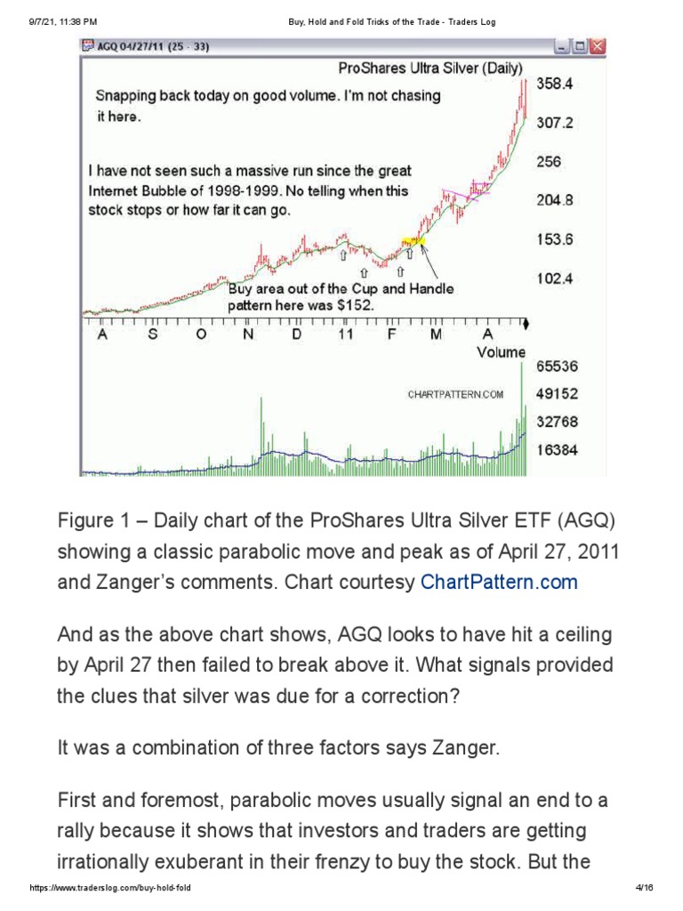 Dan Zanger Trader's Log2 | PDF