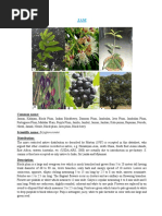 DIGFAST Interviewing Tips Use Digfast To Elicit Diagnostic Criteria | PDF