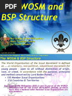 Revised SENIOR SCOUT CODE | PDF