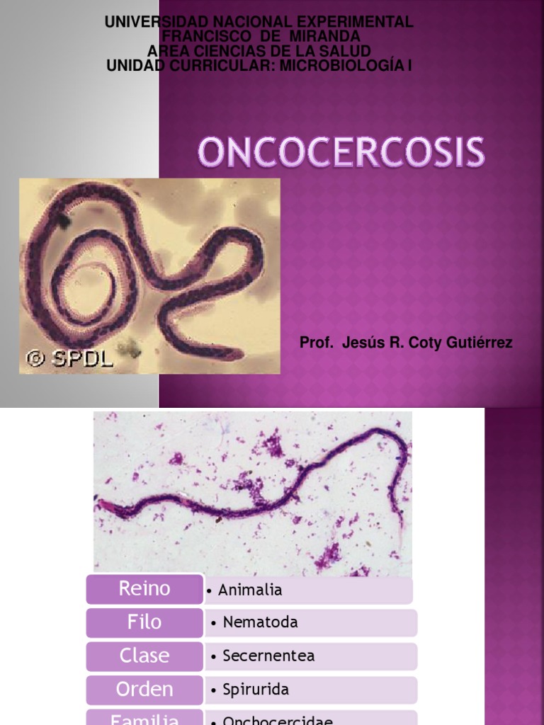 Oncocercosis | PDF | Especialidades Medicas | Medicina CLINICA