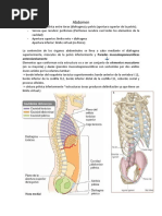 Espacio de Retzius | PDF