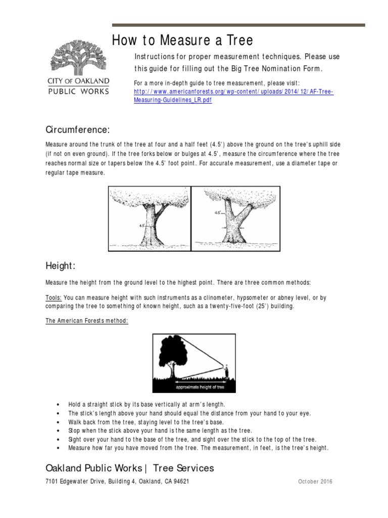 How To Measure A Tree: Circumference | Download Free PDF | Metrology ...
