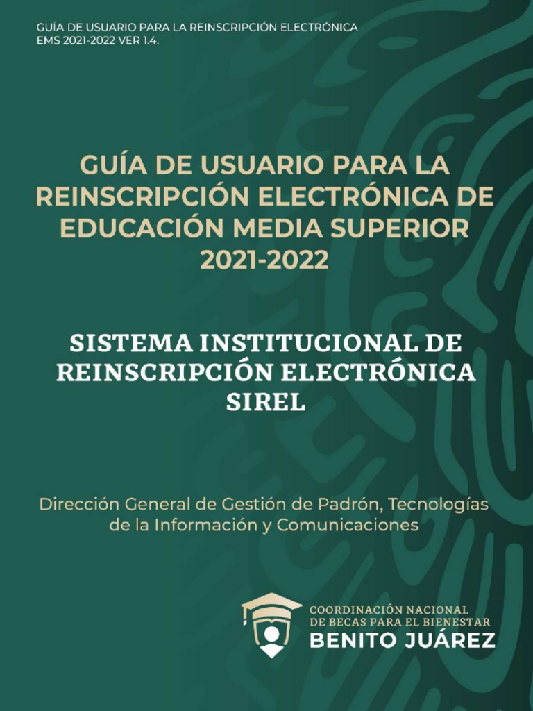 Guia Sirel 2021 | PDF | Archivo de computadora | Microsoft Excel