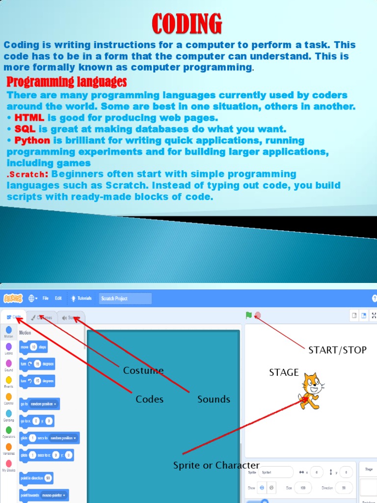 Coding | Download Free PDF | Scripting Language | Computer Programming