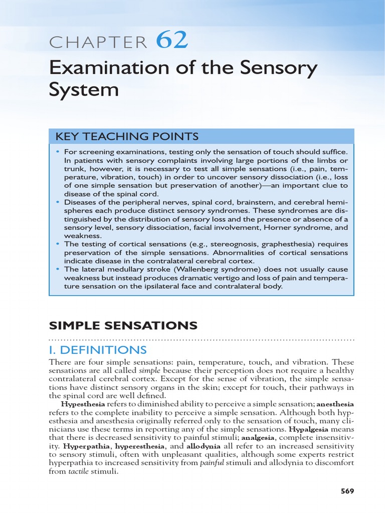 Examination of The Sensory System | PDF | Senses | Somatosensory System