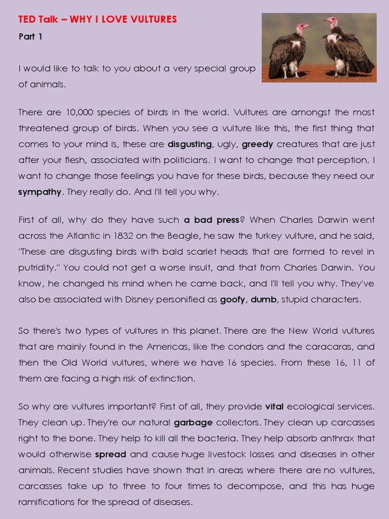 TED Talk - Why I Love Vultures | PDF | Social Science | Foreign ...