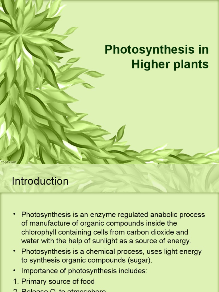 Photosynthesis in Higher Plants | Descargar gratis PDF | Photosynthesis ...