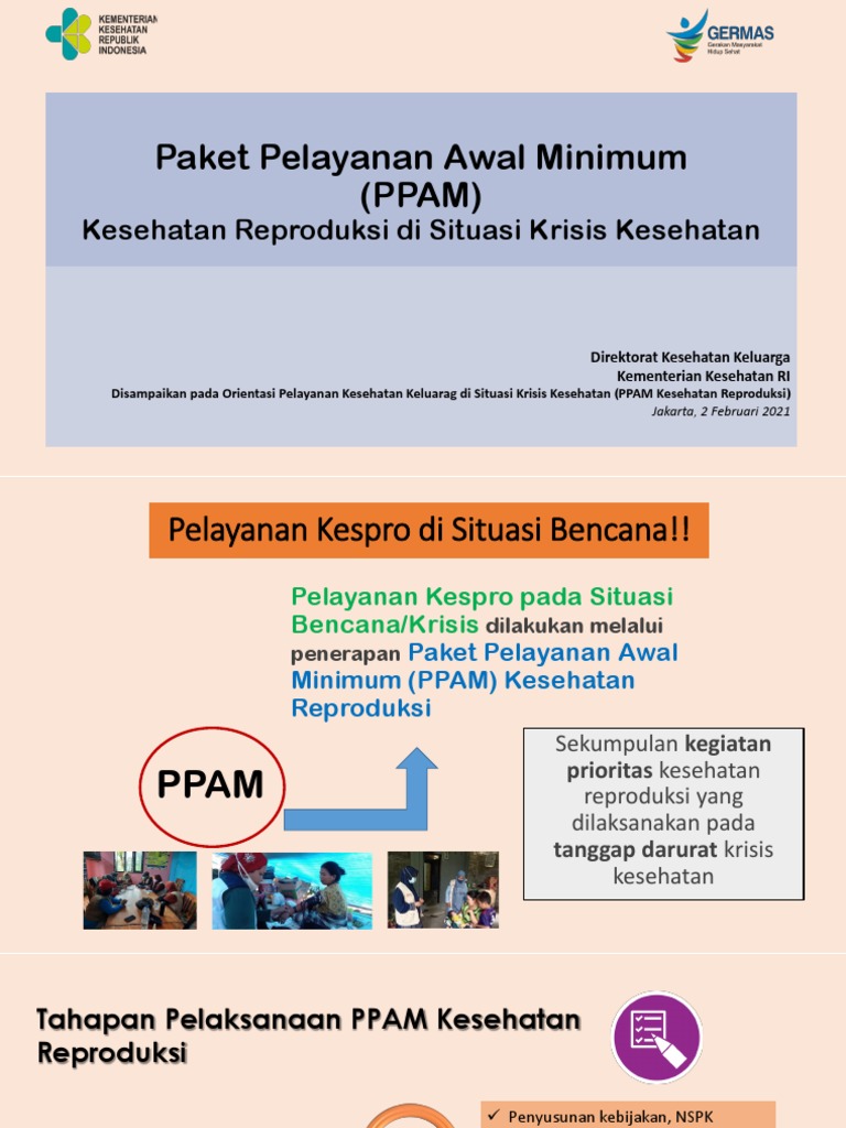 Paparan KSD-Pengenalan PPAM Kes Pro | PDF | Pengembangan Diri ...