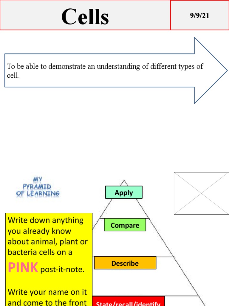 Grade 8 Cell Project Guide | PDF | Cell (Biology) | Organelle