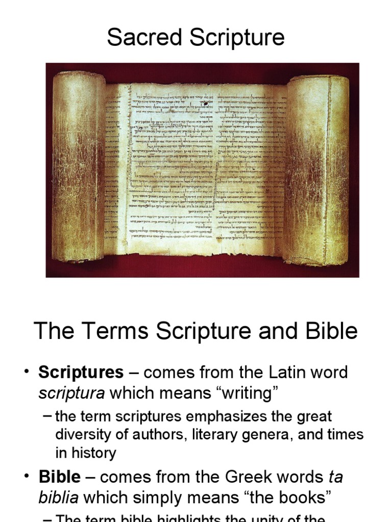 Sacred Scripture | PDF | Biblical Canon | Bible