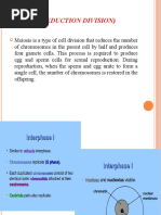 Meiosis: PMAT Stages Explained | PDF