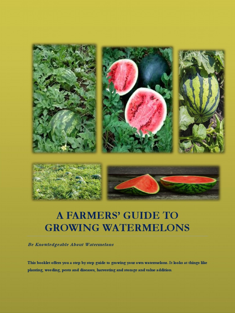 A Farmers' Guide To | PDF | Watermelon | Soil