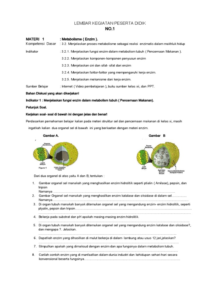 LKPD Enzim | PDF