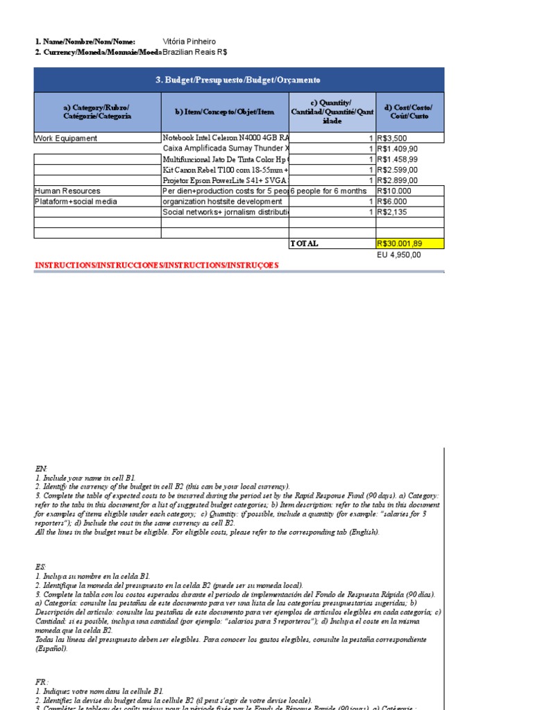 Cópia de Budget Template - XLSX - General | PDF