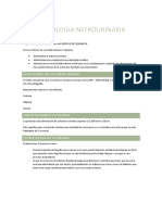 Oliguria y Anuria: Definición y Causas | PDF | Riñón | Especialidades ...