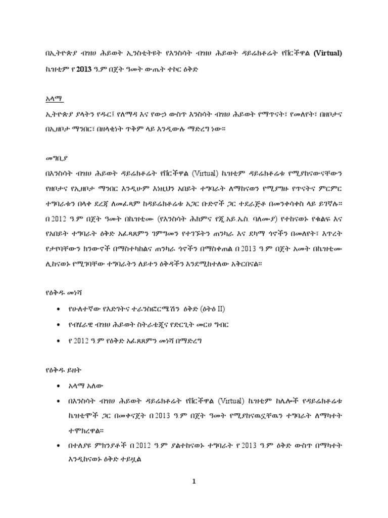 Virtual 2013 BSC Plan | PDF