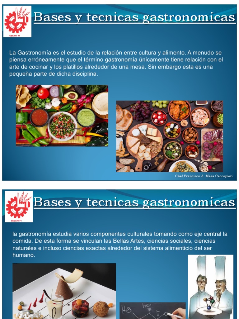 Introduccion A La Gastronomia | PDF | Gastronomía | Alimentos