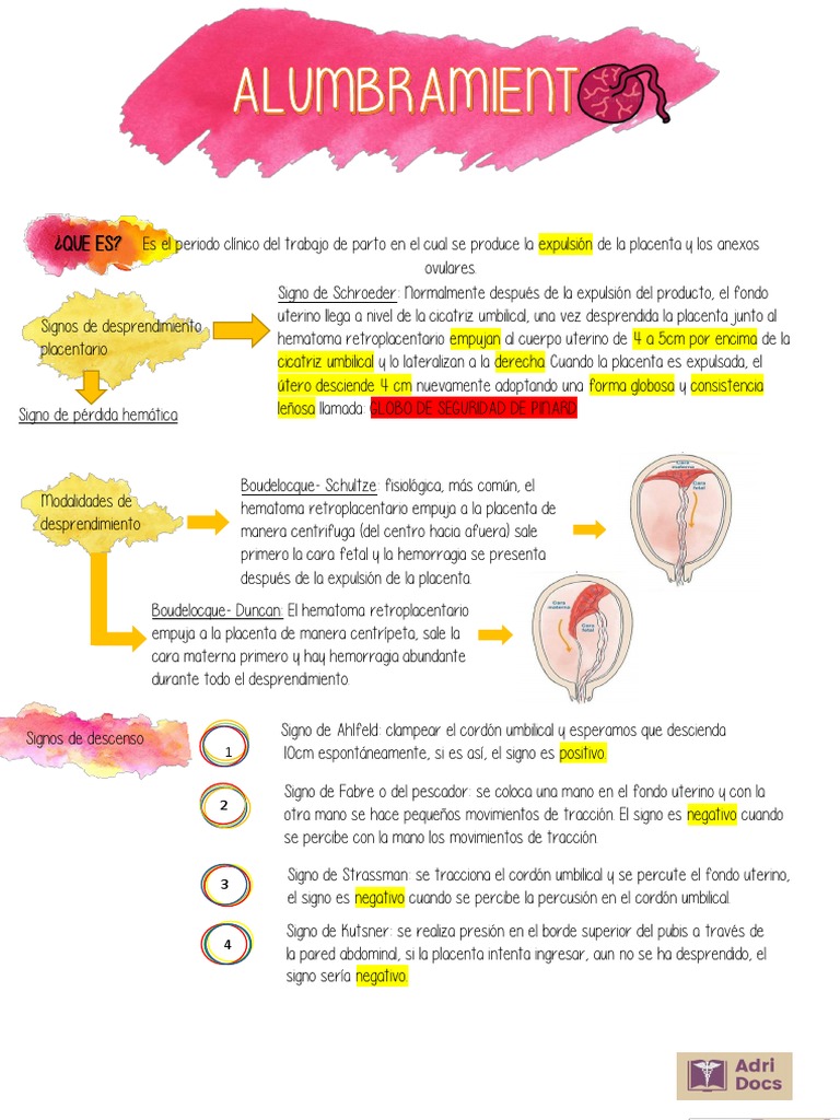 Alumbramiento Udocz | PDF | Placenta | Parto