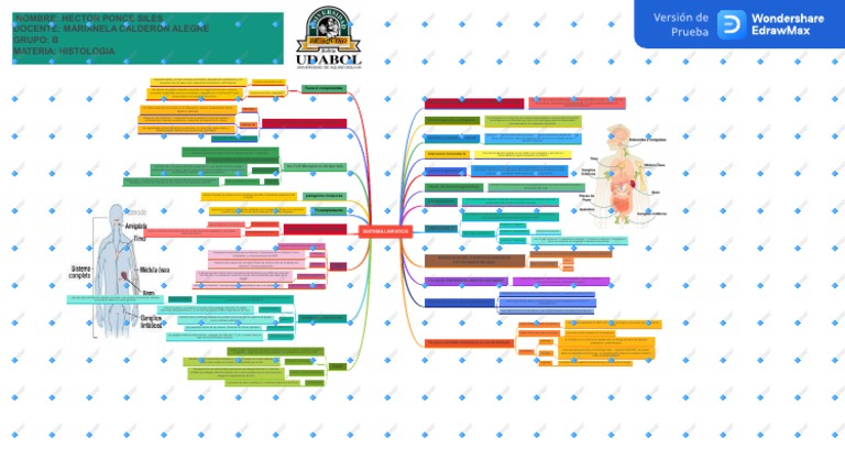 Hector Ponce Siles Grupo''b | PDF | Linfocitos | Sistema inmune