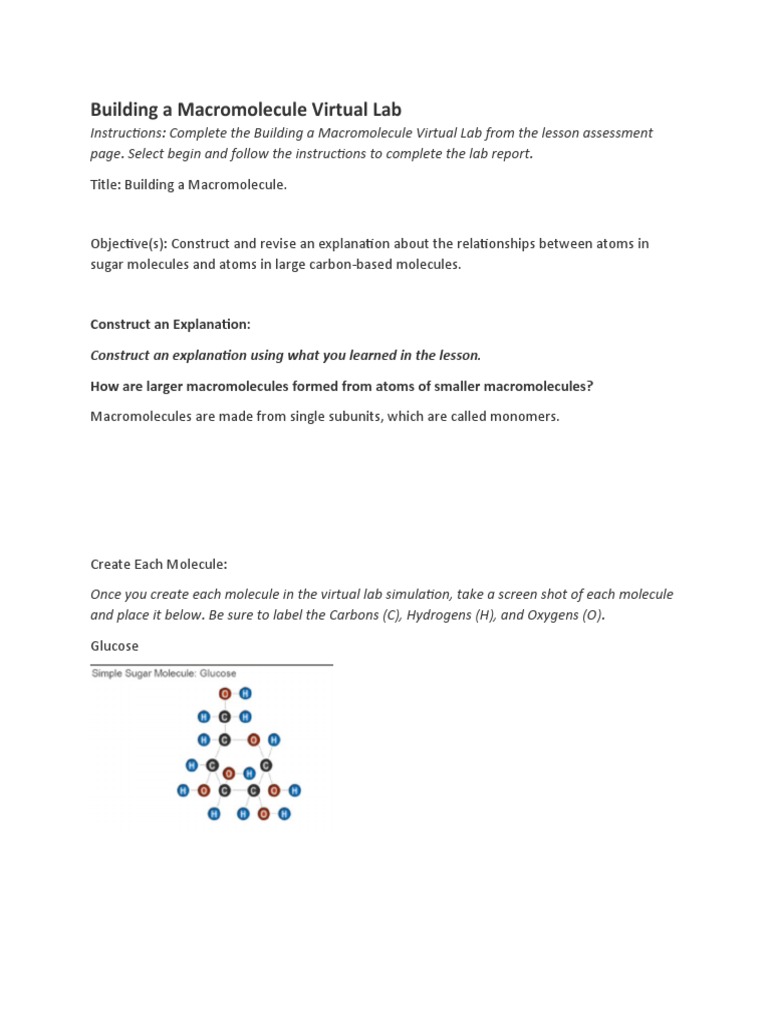 Building A Macromolecule Virtual Lab | PDF | Carbohydrates | Macromolecules