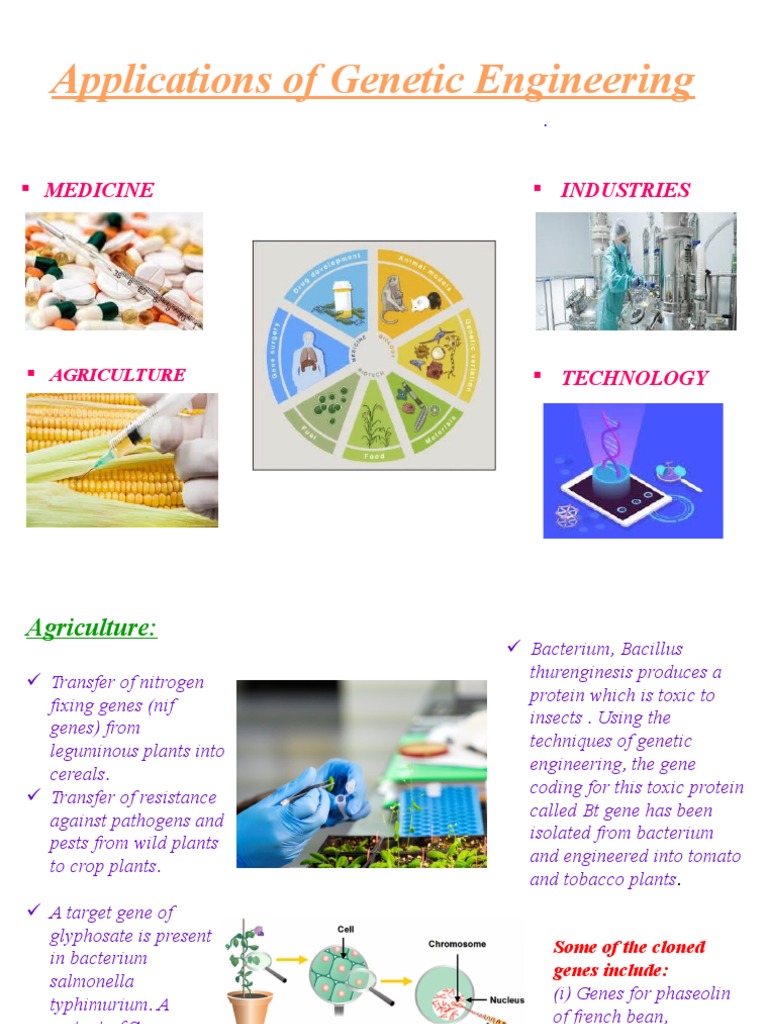 Applications of Genetic Engineering: Medicine Industries | Download ...