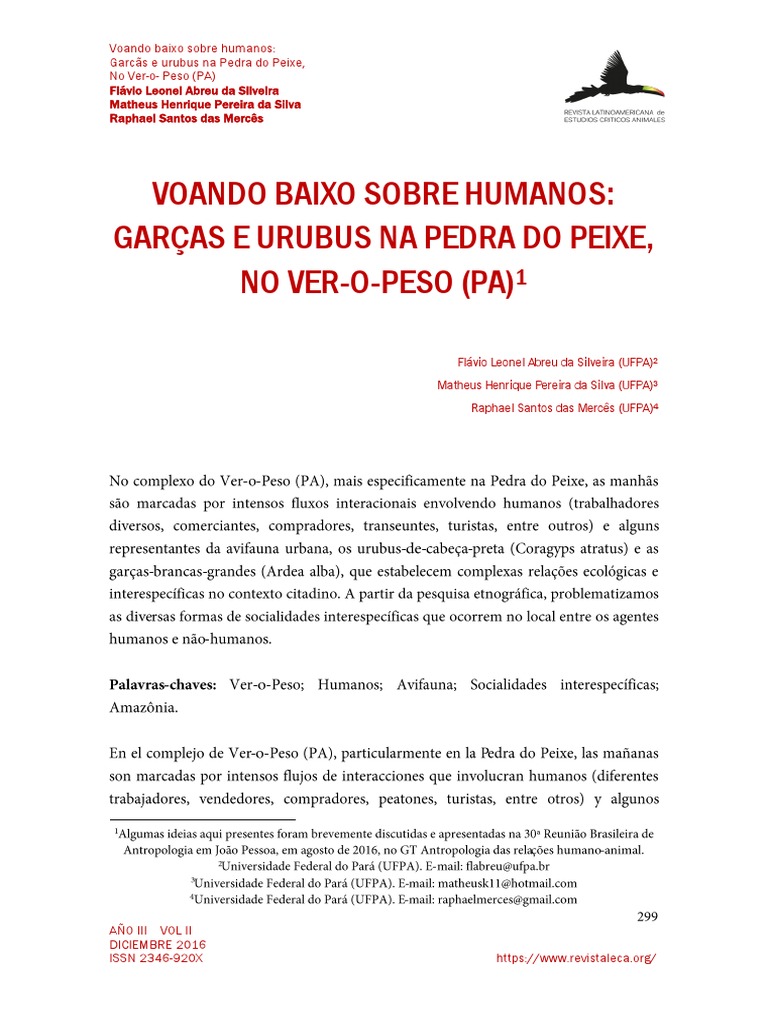 Voando Baixo Sobre Humanos: Garças e Urubus Na Pedra Do Peixe, No Ver-O ...