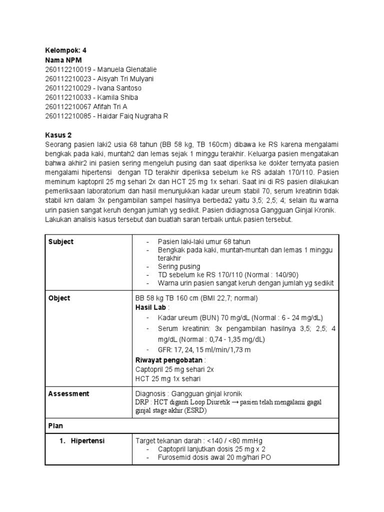 A - Tugas DRP - Ginjal - Kelompok 4 | PDF