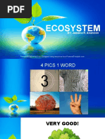 Rock Identification Dichotomous Key | PDF | Basalt | Igneous Rock