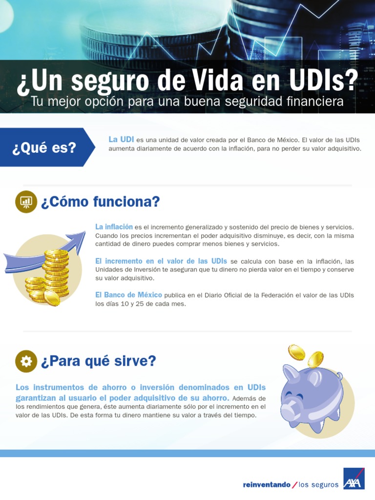 Importancia de La Udi | PDF | Inflación | Economias