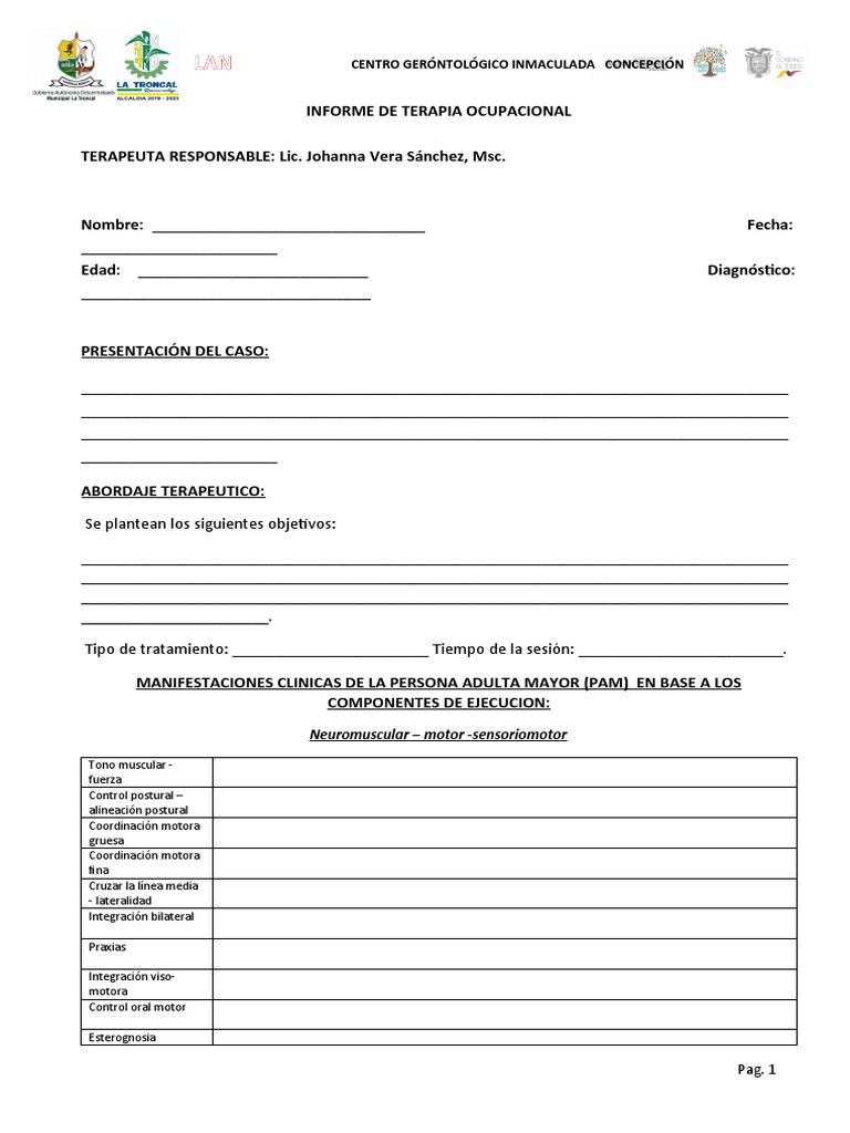 Informe de Terapia Ocupacional 0 | PDF | Coordinación motriz | Terapia ...