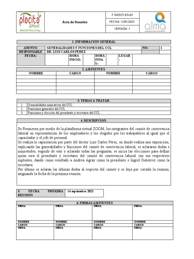 Funciones del CCL en Reunión 2021 | PDF | Derecho