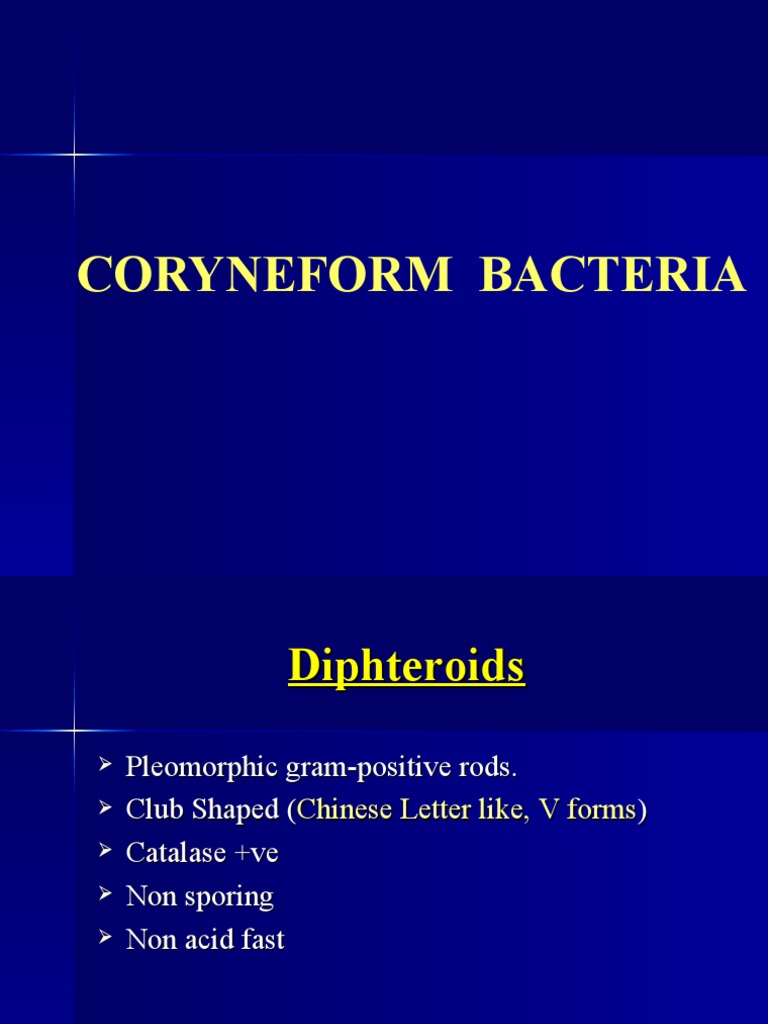 CORYNEFORM | PDF | Infection | Medical Specialties