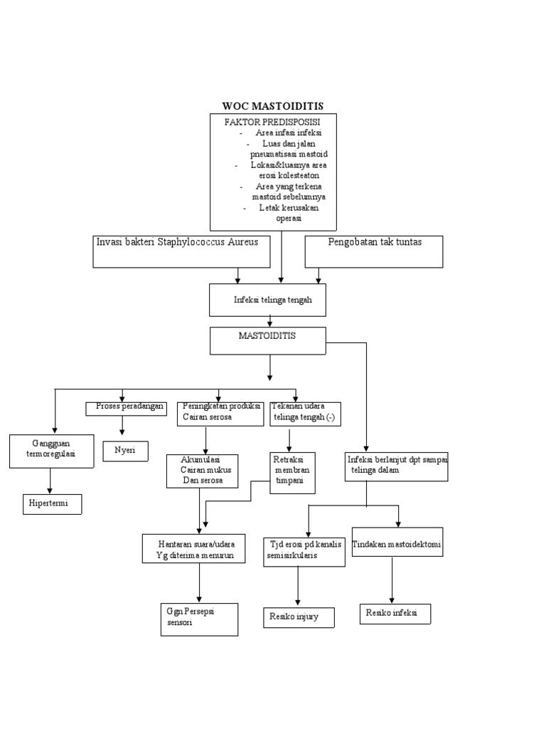 Asuhan Keperawatan Mastoiditis | PDF