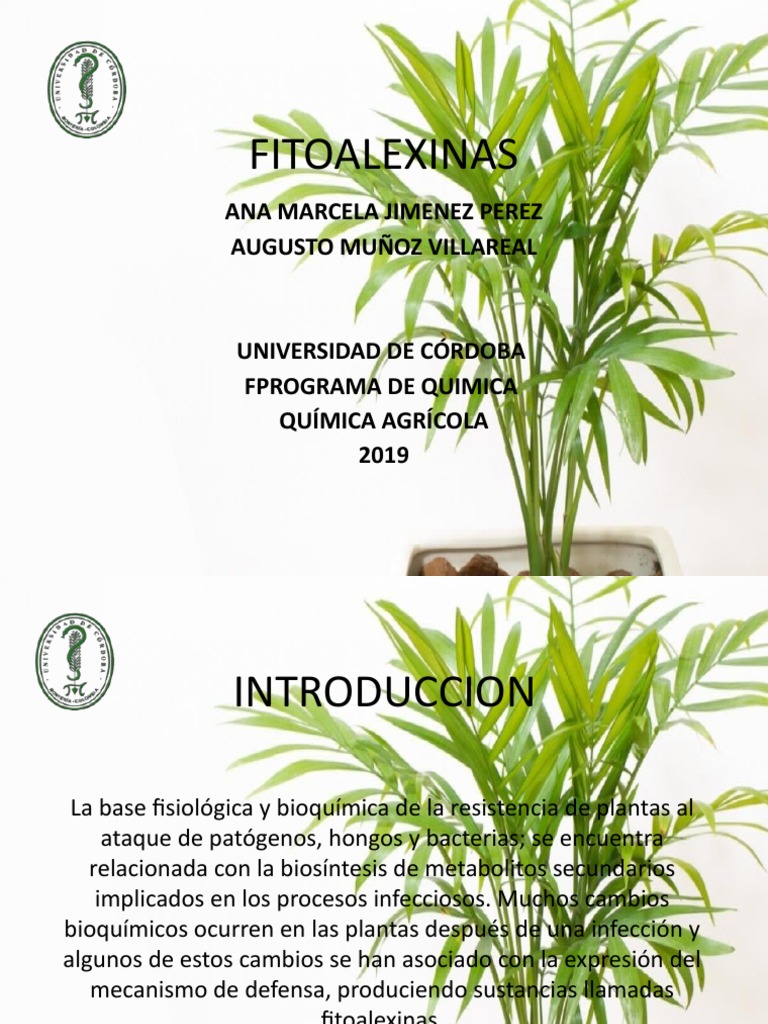 Fitoalexinas: Defensas en Plantas | PDF | Las bacterias | Infección