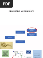 CDC - DPDX - Enterobiasis | PDF | Sistema digestivo | Parasitología