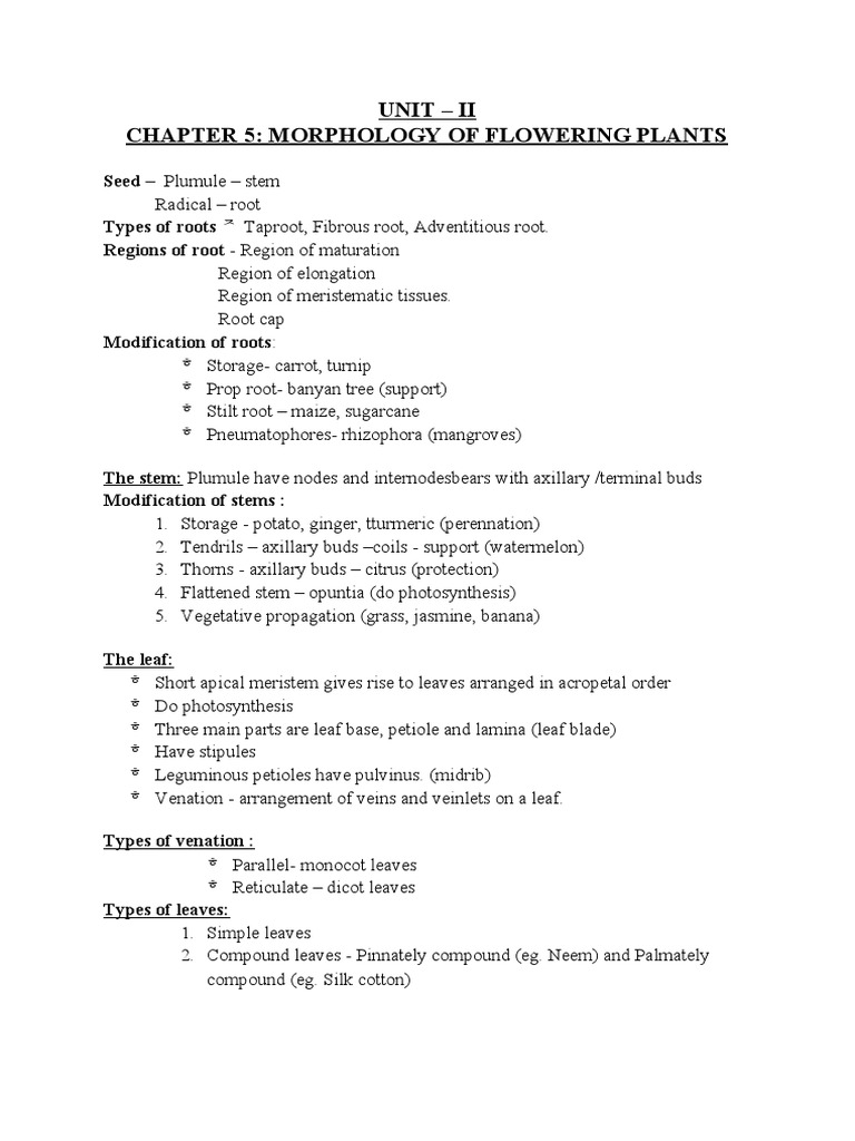 Chapter 5 Morphology of Flowering Plants | PDF | Leaf | Fruit
