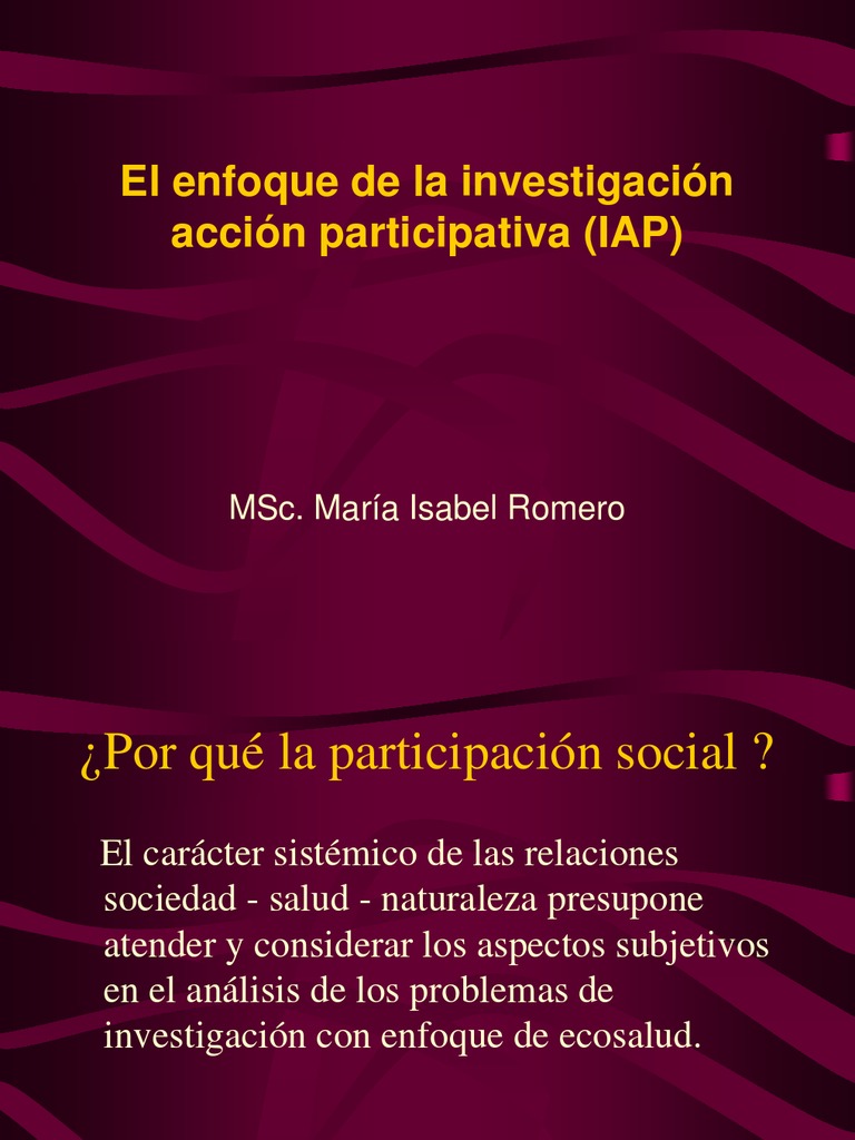 Presentacion IAP | PDF