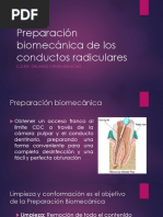 Clasificacion de Vertucci | PDF | Diente | Anatomia dental