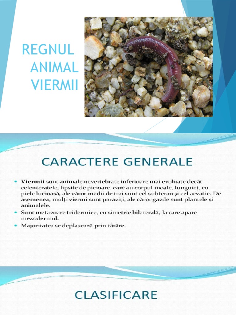 Regnul Animal Viermii | PDF