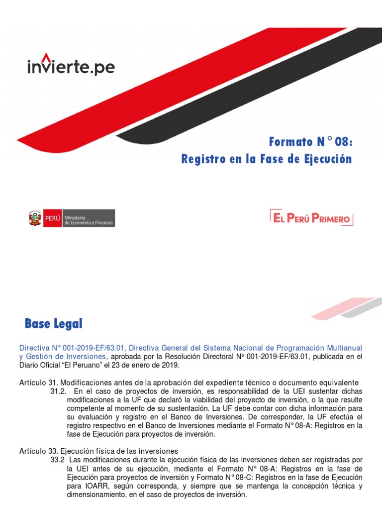Formato N 08 - Registro Fase de Inversion - Al 19.11.2020 | PDF