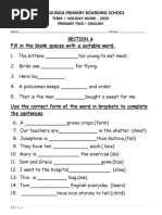 Primary 2 English Exam | PDF