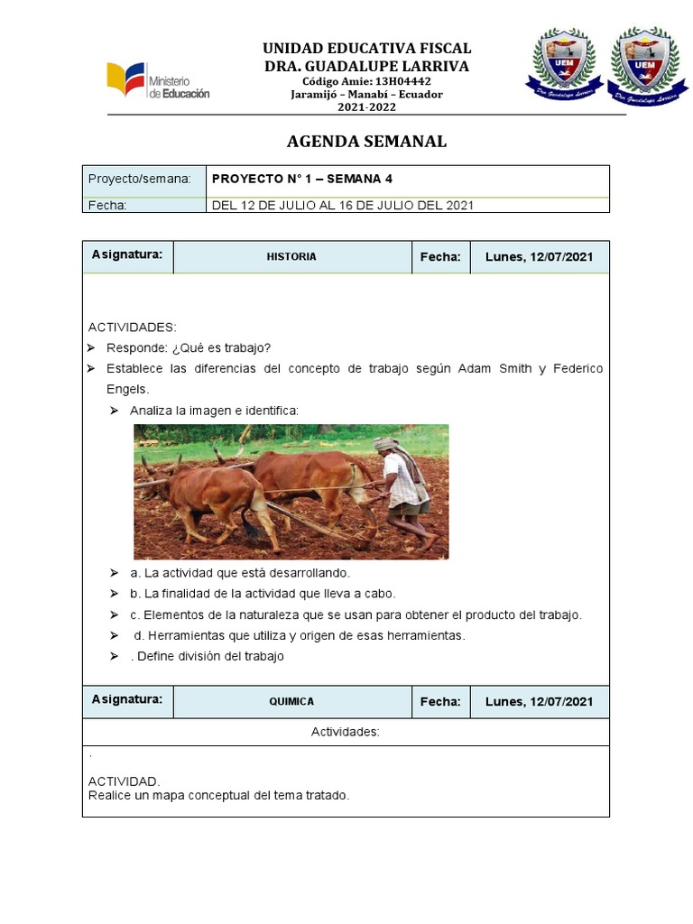 Semana 4 | PDF | Naturaleza