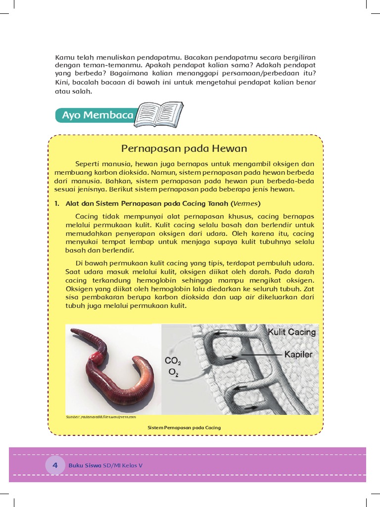 Pernapasan Pada Hewan | PDF